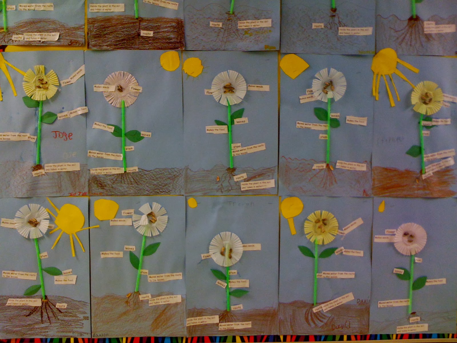 CIKGU EELA (IL) PRESCHOOLERS @ PCE: 3D Flower Diagram